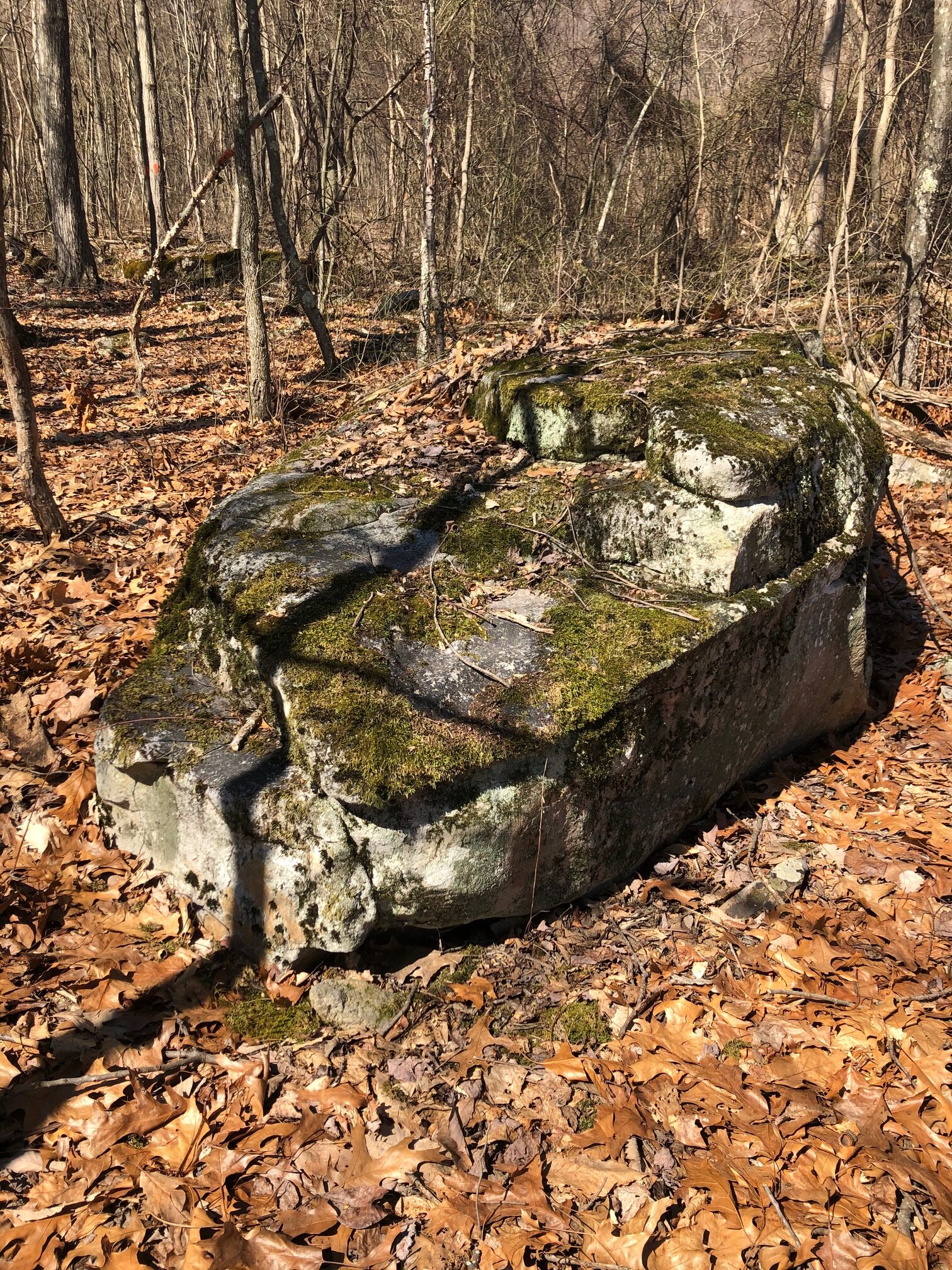 Twisted Nature – deepthoughtsonrandomstuff